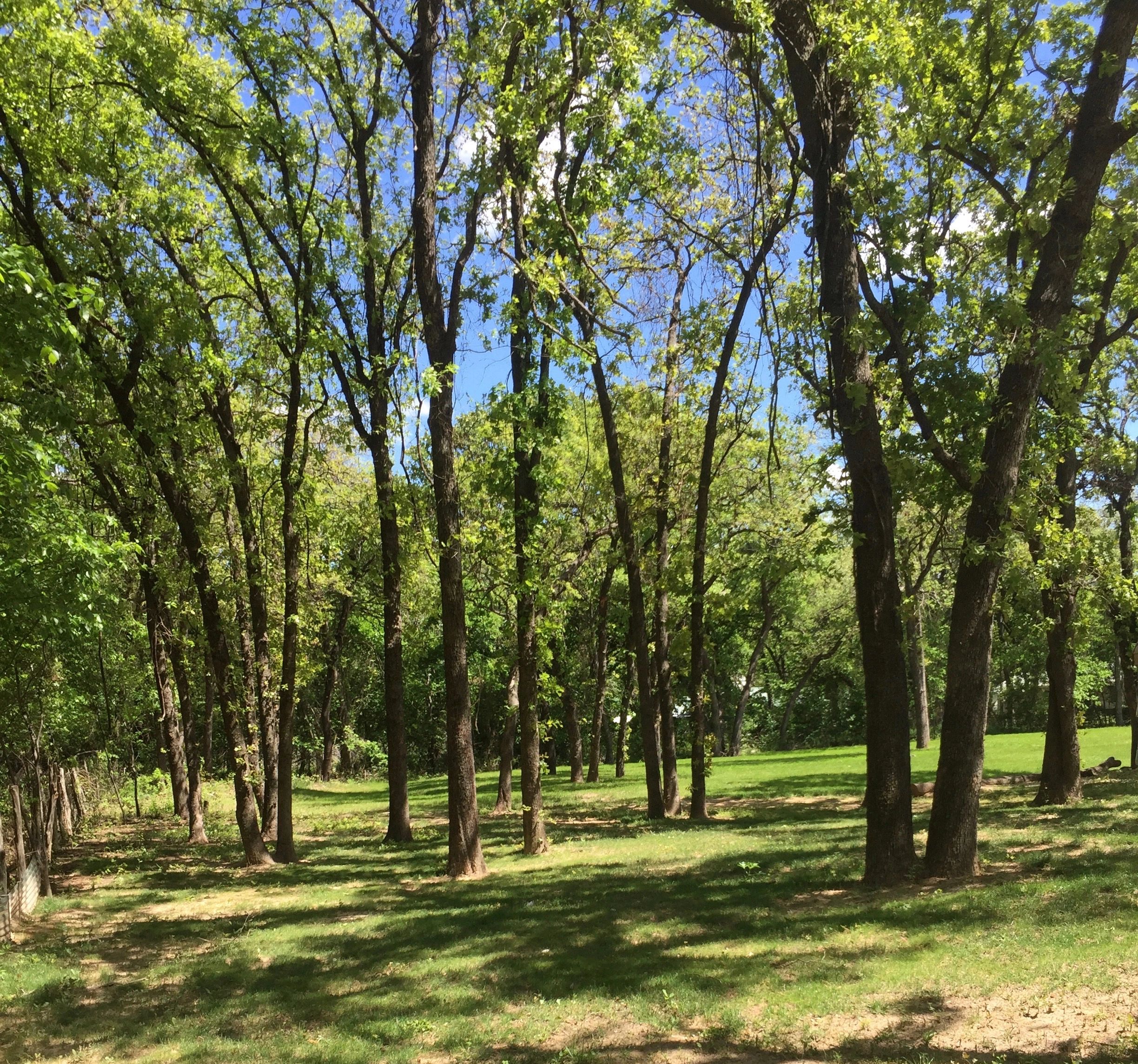 Shady Lane RV Park - RV Park in Azle, Rv Parks Near Me, Rv Sites