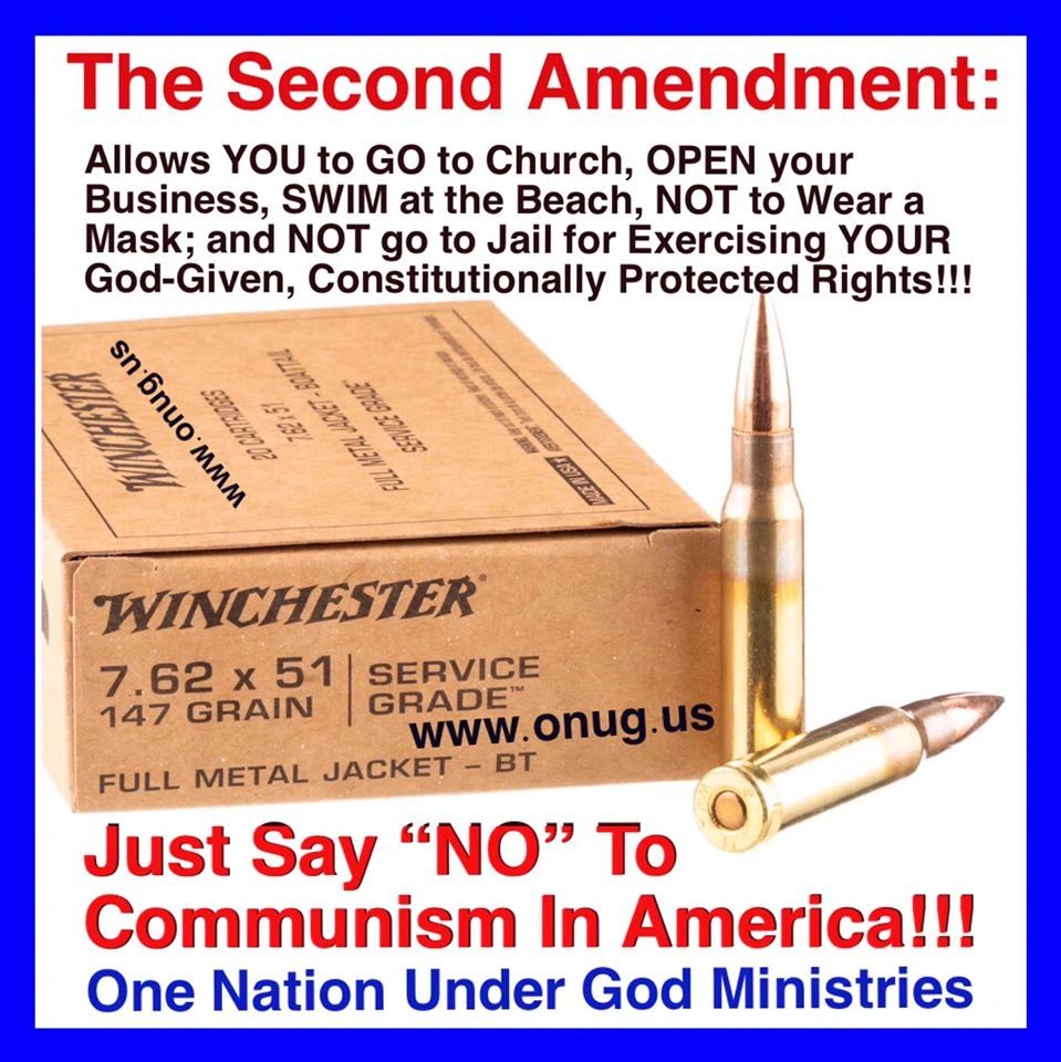 WHY We Have The Second Amendment