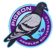 Pigeon Removal - Pigeon Problem Solvers