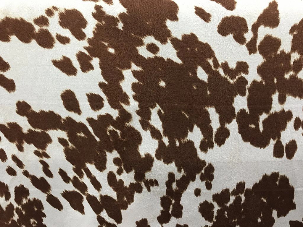 Ranch Horse Alliance