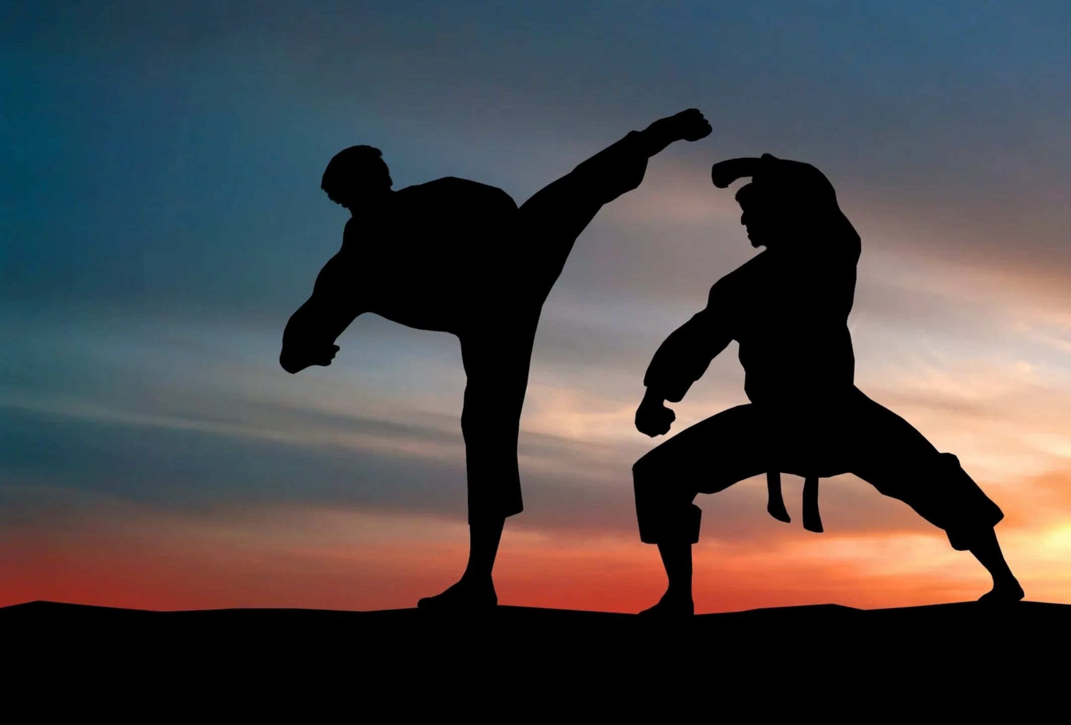 Expert Karate Training for All Ages | High Reaches Hapkido