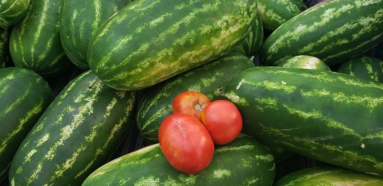 Gallery | STOECKER FARMS