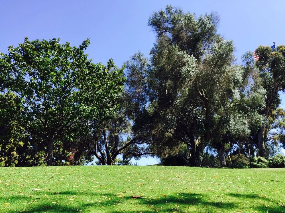 Regina Sanders Leadership and Development Coach