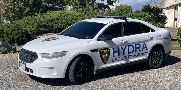 About | Hydra Security Agency