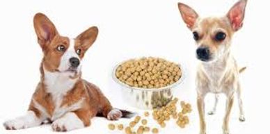 The Pet Warehouse - Dog Food, Dog Supplies