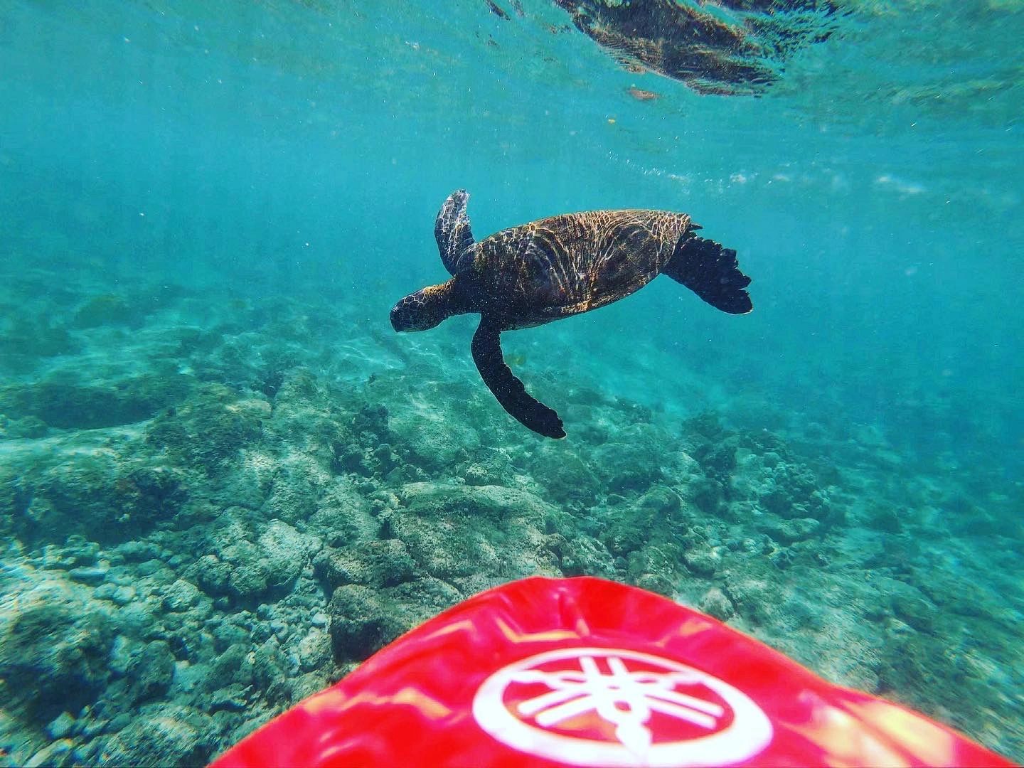 Shaka Aloha Adventures