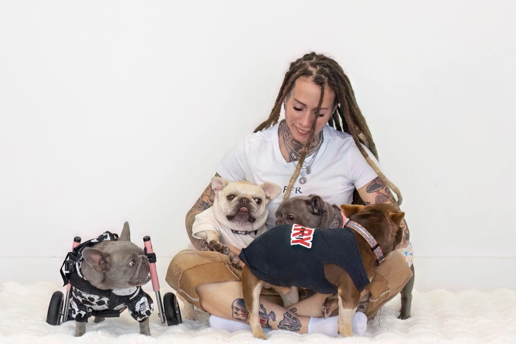 Find Your Perfect Companion at Freedom Frenchie Rescue