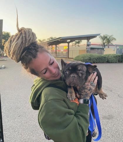 Find Your Perfect Companion at Freedom Frenchie Rescue