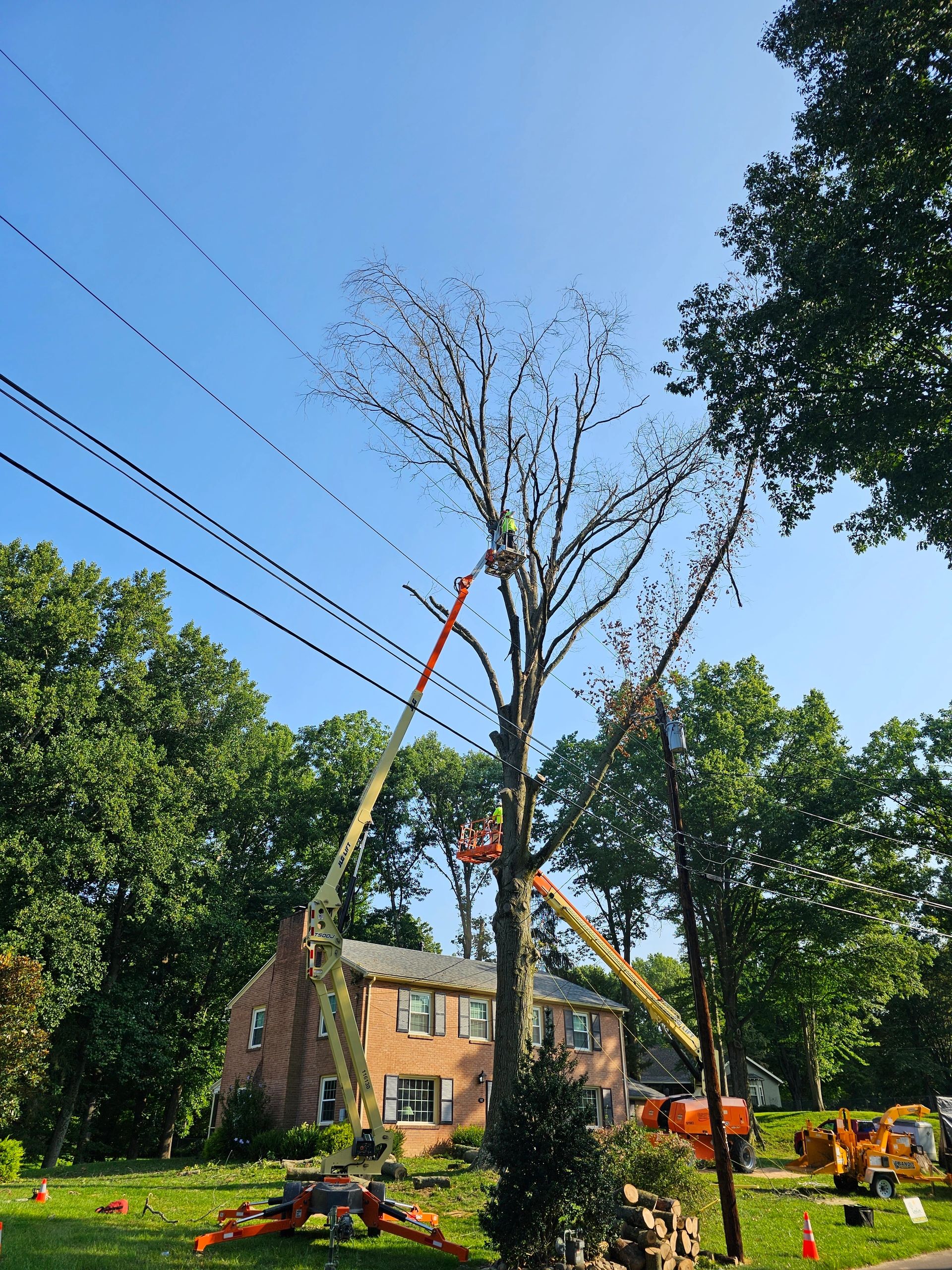 TrueCare Tree Services LLC in Parkersburg, West Virginia