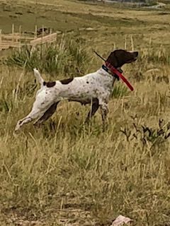 Spring/Summer Training