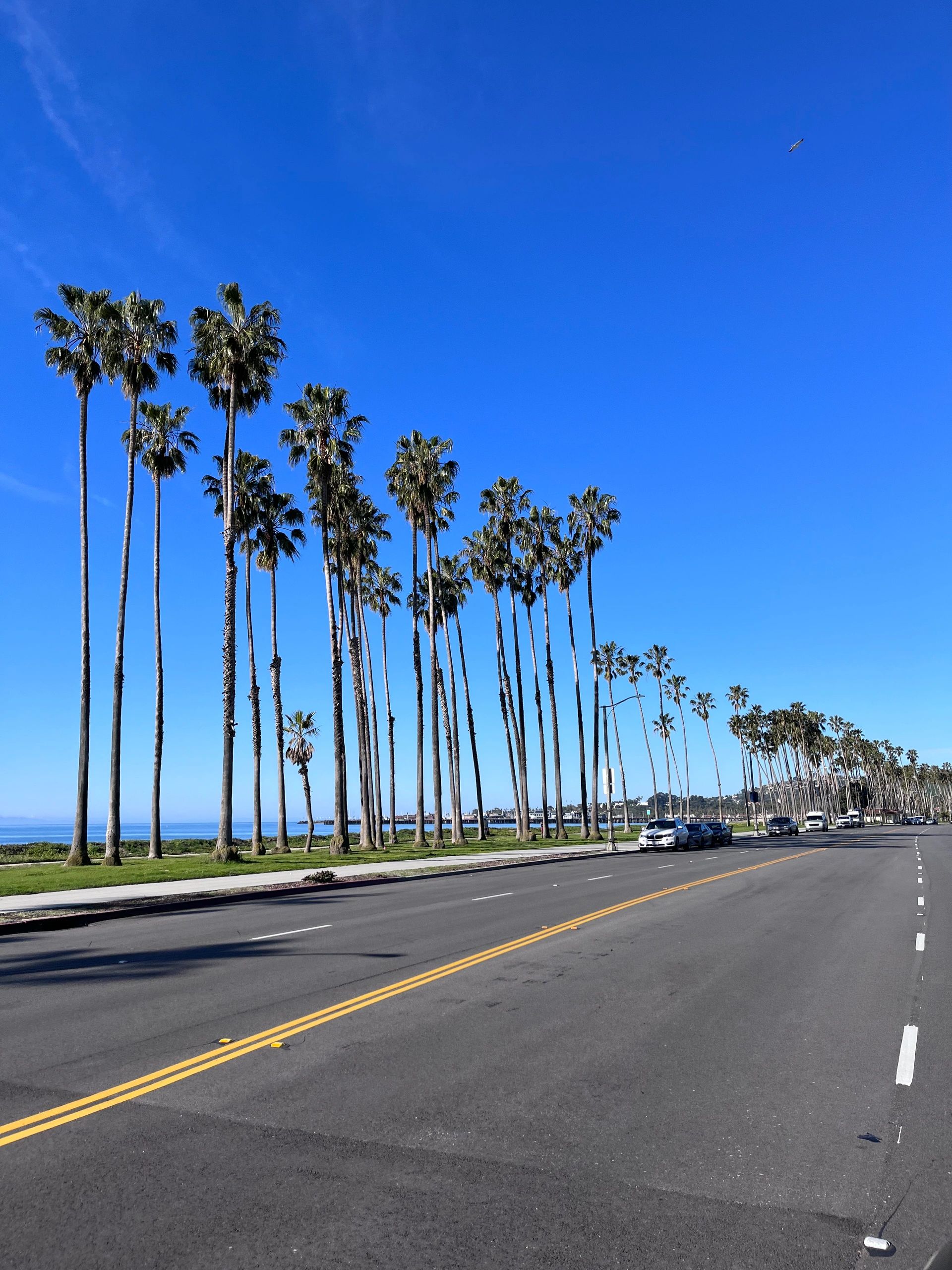 Expert Electrical Repair Services