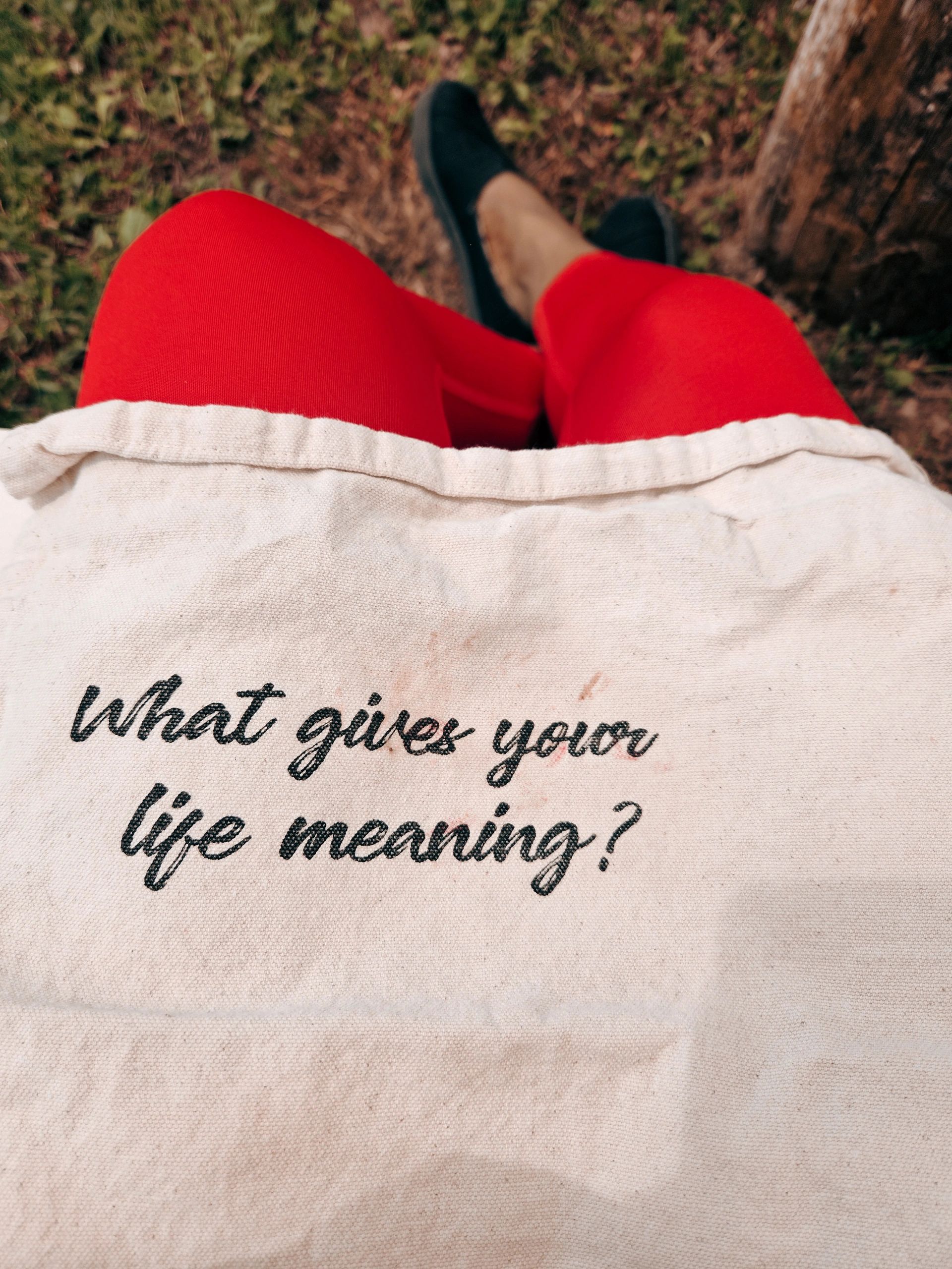 what-gives-your-life-meaning