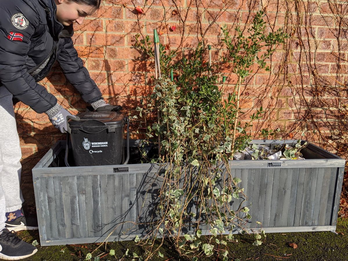 BinGarden Wooden Pair of Planter Boxes 100L each. Bin Garden Flower ...