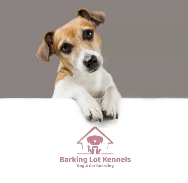 Barking Lot Kennels