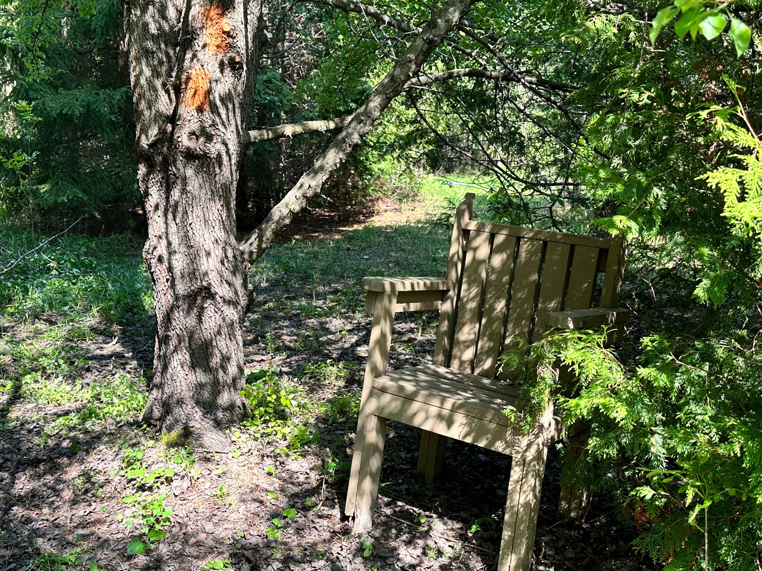 What is this chair for?