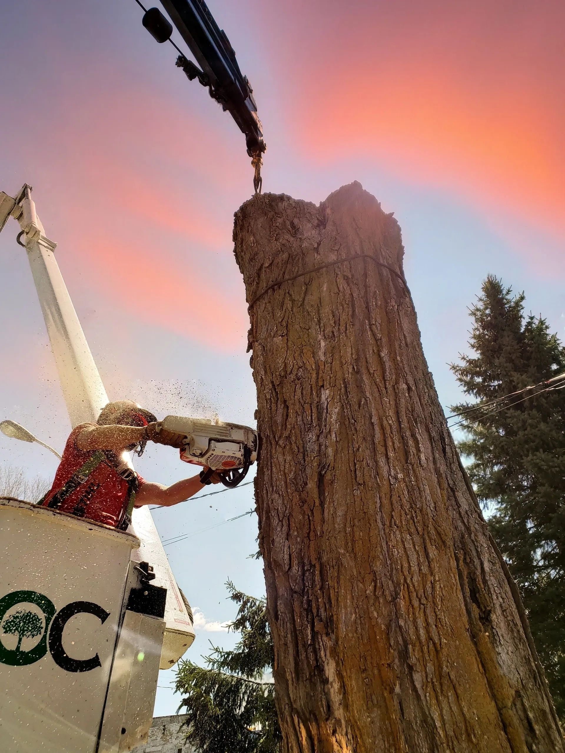 Ontario's Choice Tree Service Inc.
