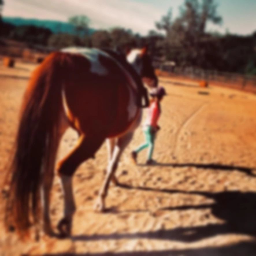 Summer Pony Sessions