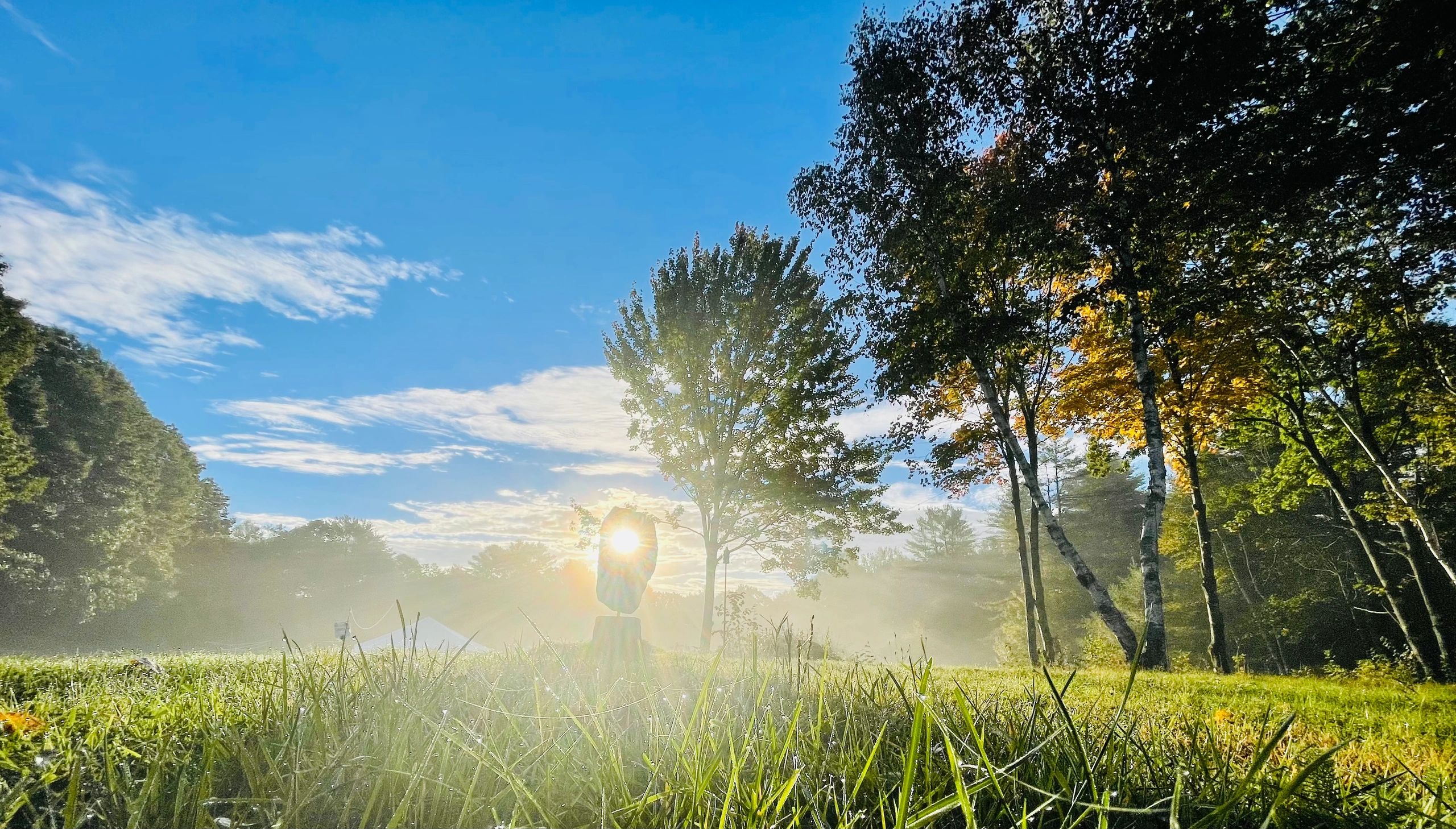 Reconnect with Nature and Embrace Wellness