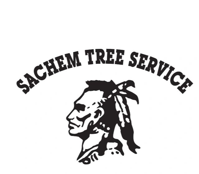 Sachem Tree Service