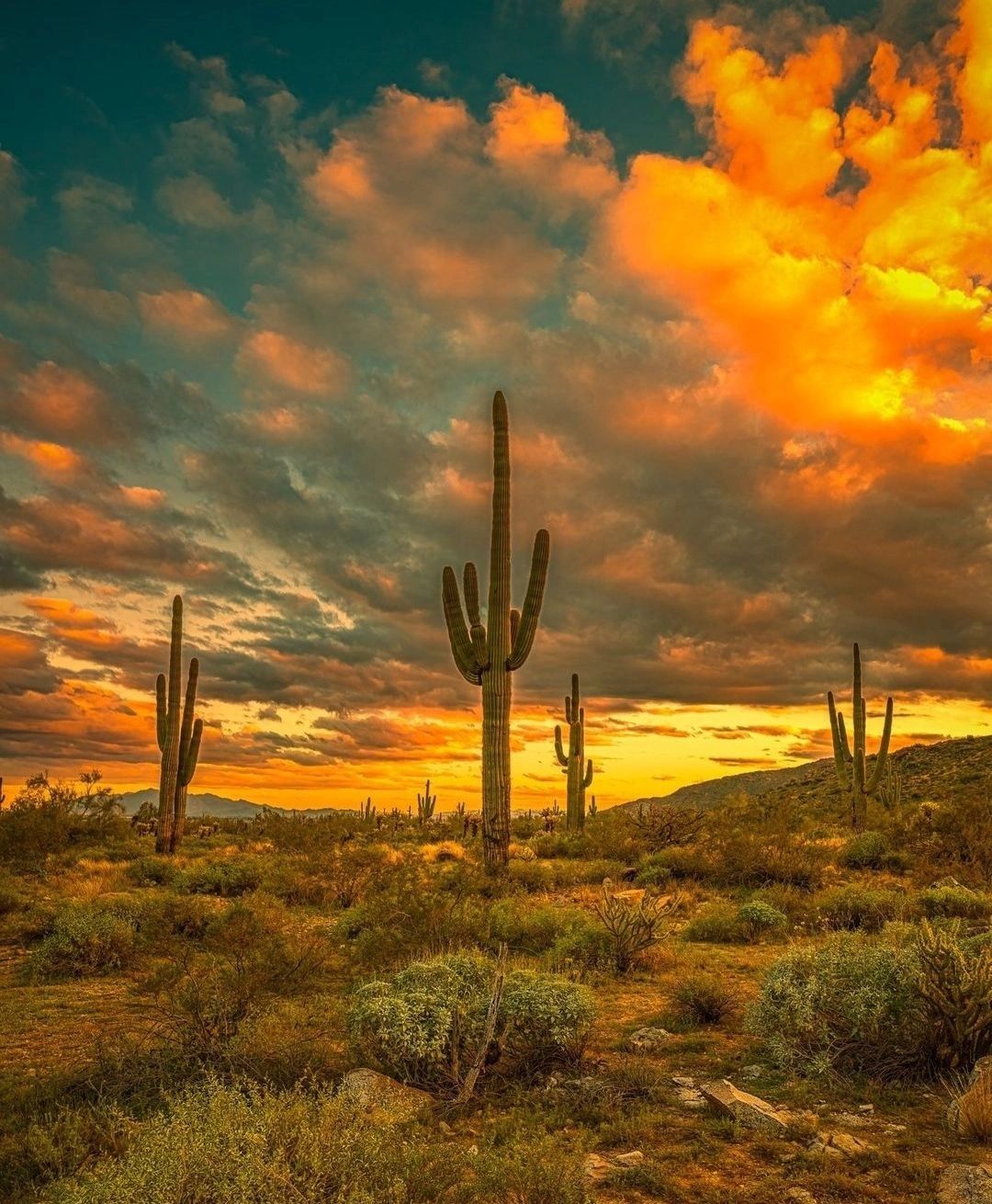 The Place of Spiritual Wisdom - Spirituality, Holistic Wellness