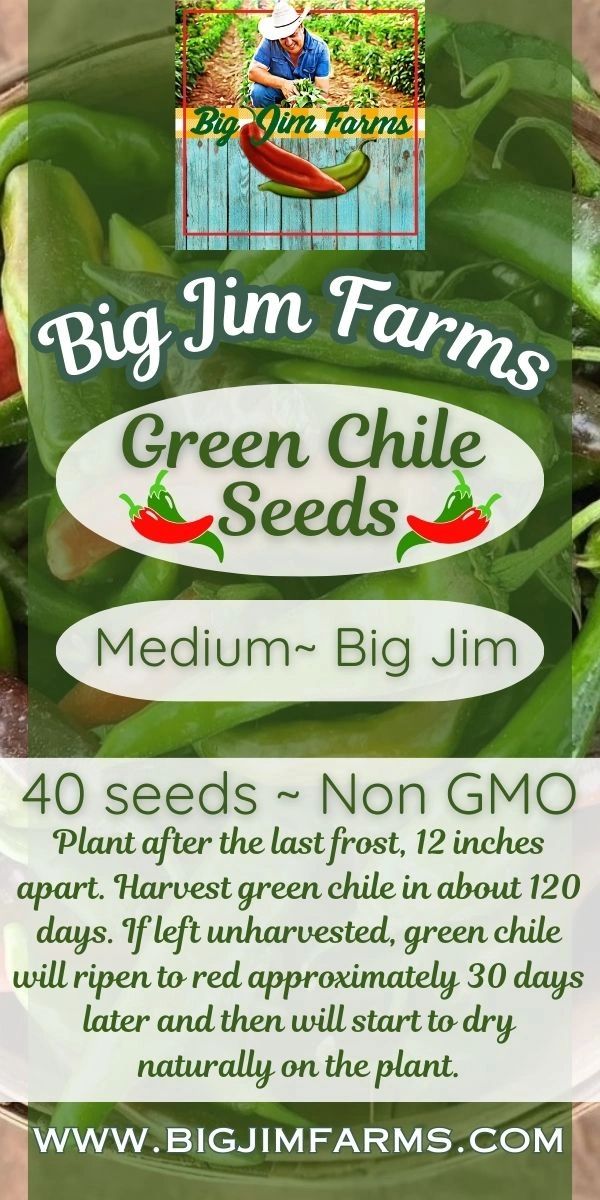 Medium Green Chile Seeds ~ Big Jim Variety