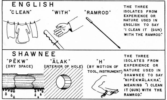 How Language Shapes Thought
