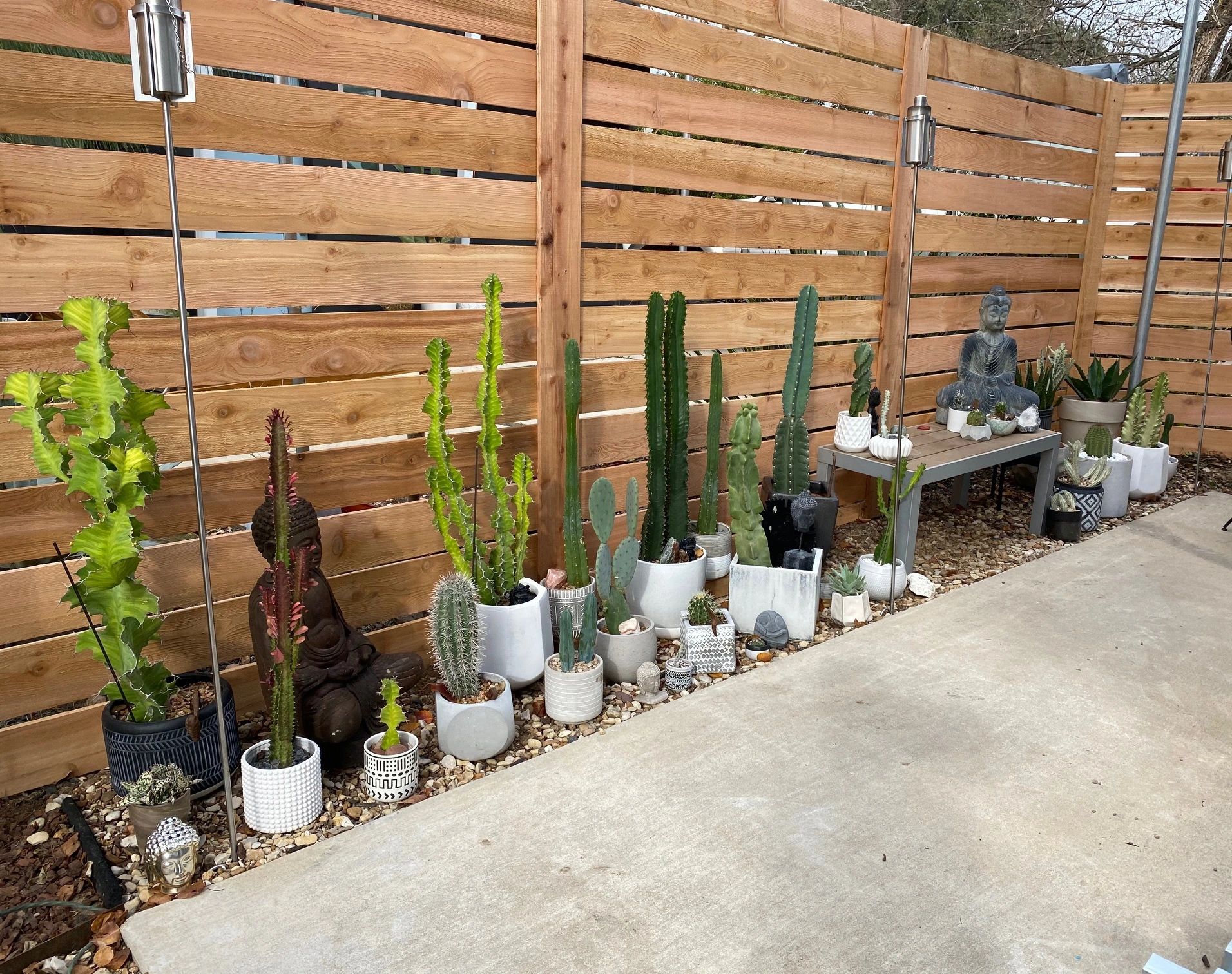Plant Mama Landscaping