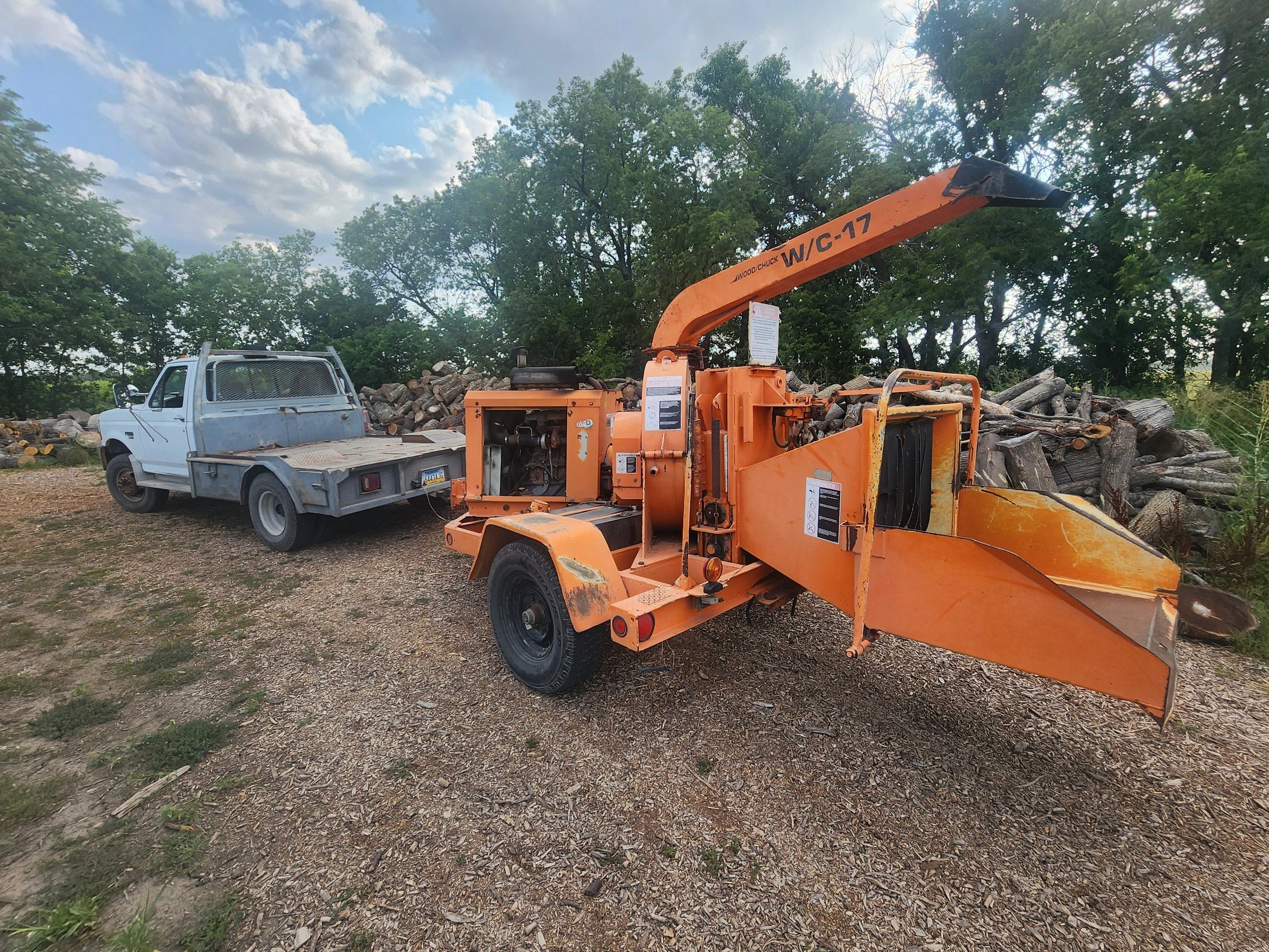 Expert Tree Care Services with Stump Removal | Carlson Tree Co