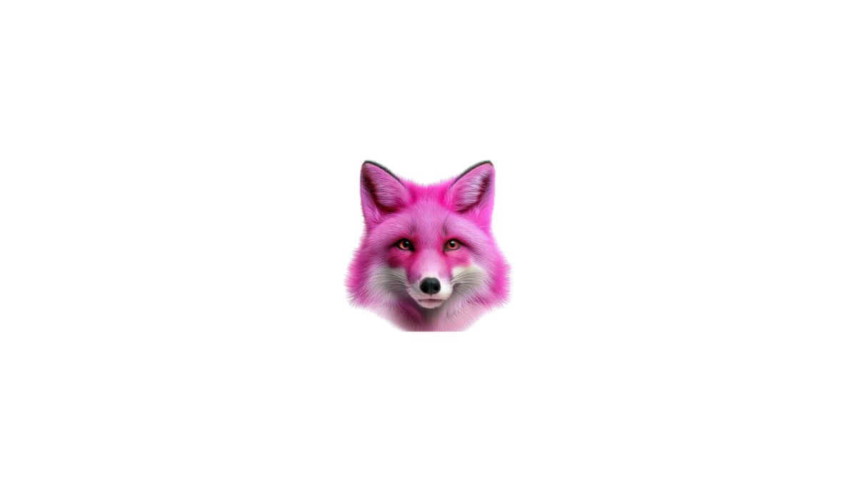 The Fuchsia Fox Collection
