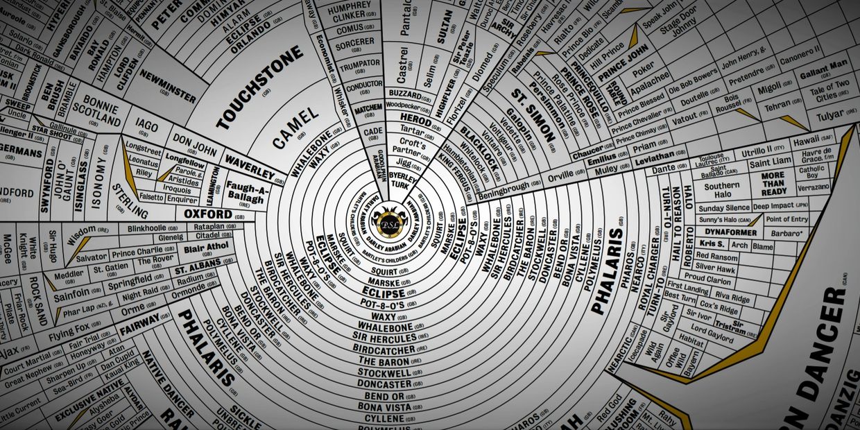 Prominent Sire Lines - prominentsirelines.com