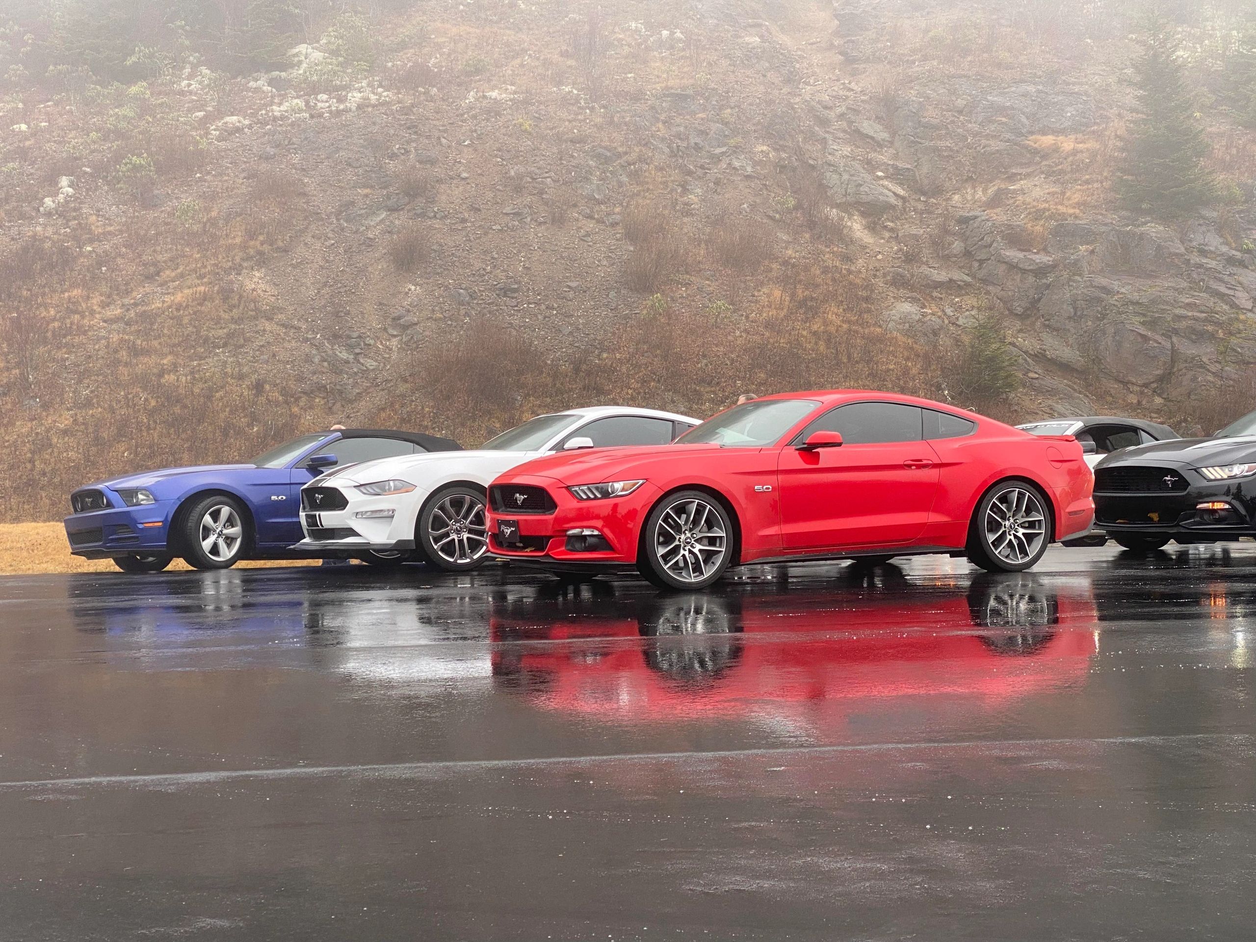 Georgia Regional Mustang Club
