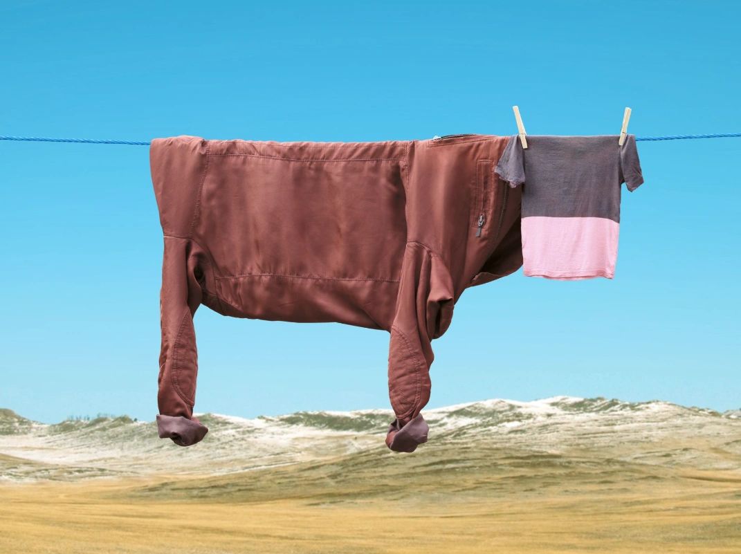 Celebrating Helga Stentzel's Clothesline Creatures