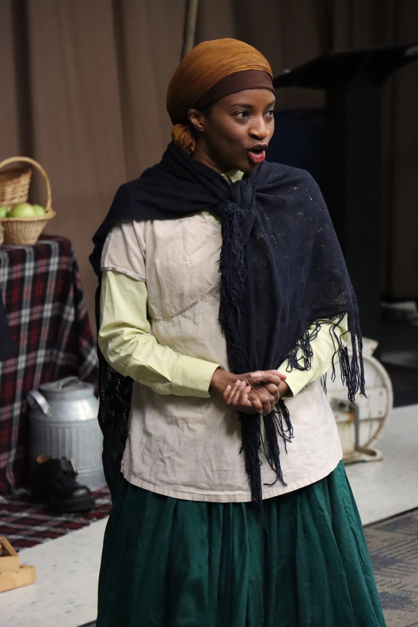 Mary Veale and The Colonials - Historic Tours - Portsmouth, Virginia