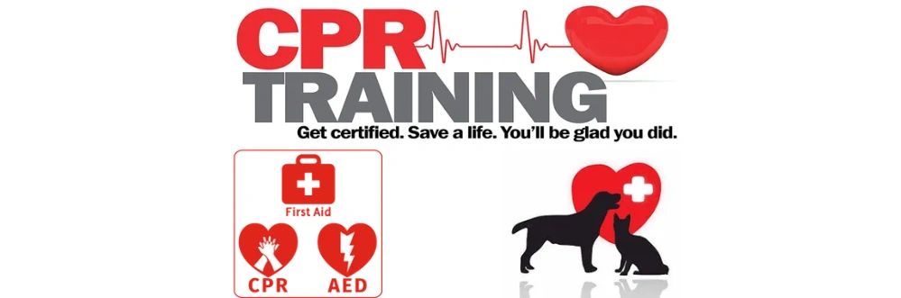 First Aid and CPR Course - Learn Life-Saving Techniques | York CPR ...