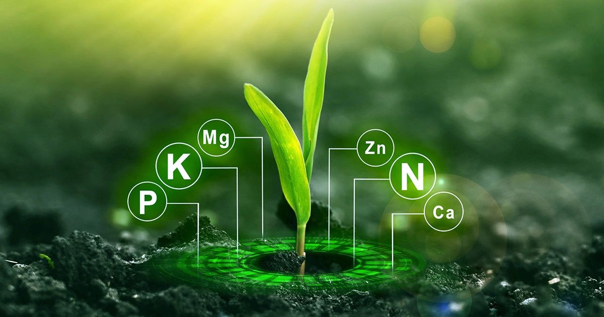 8 Health Benefits of Fulvic Acid