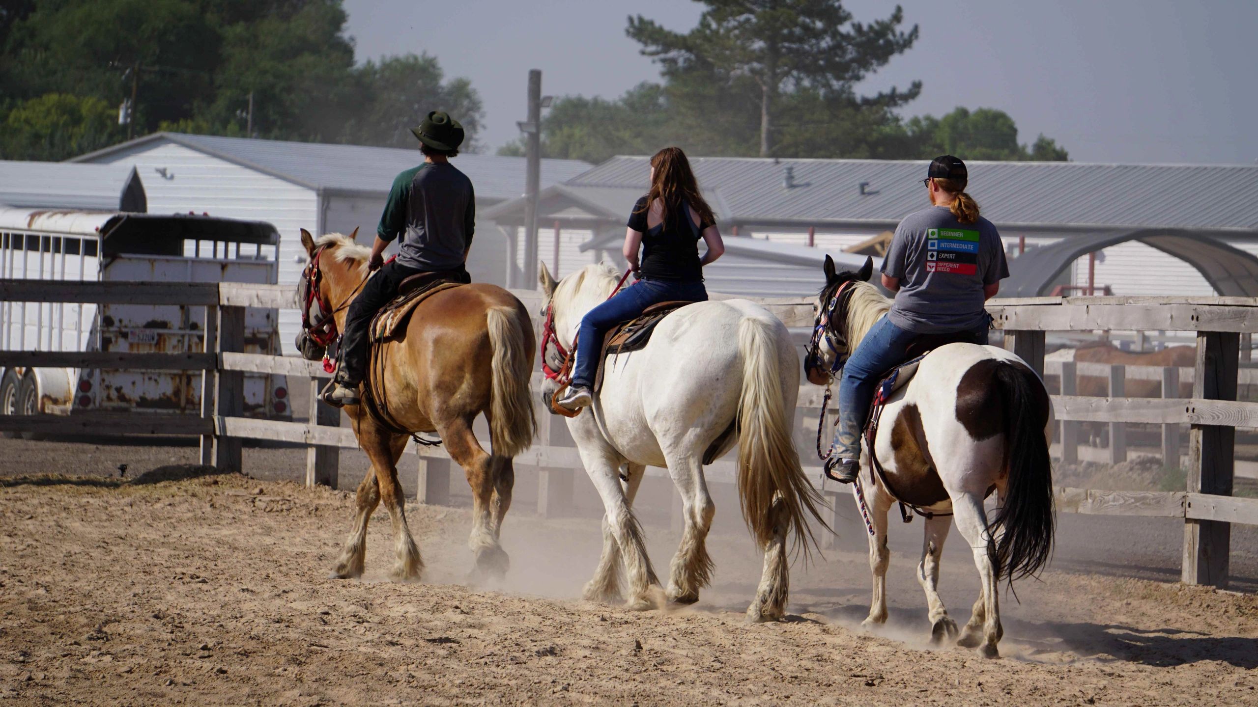 Best Horse Riding Lessons Near Me Best Horse Riding Lessons Near Me