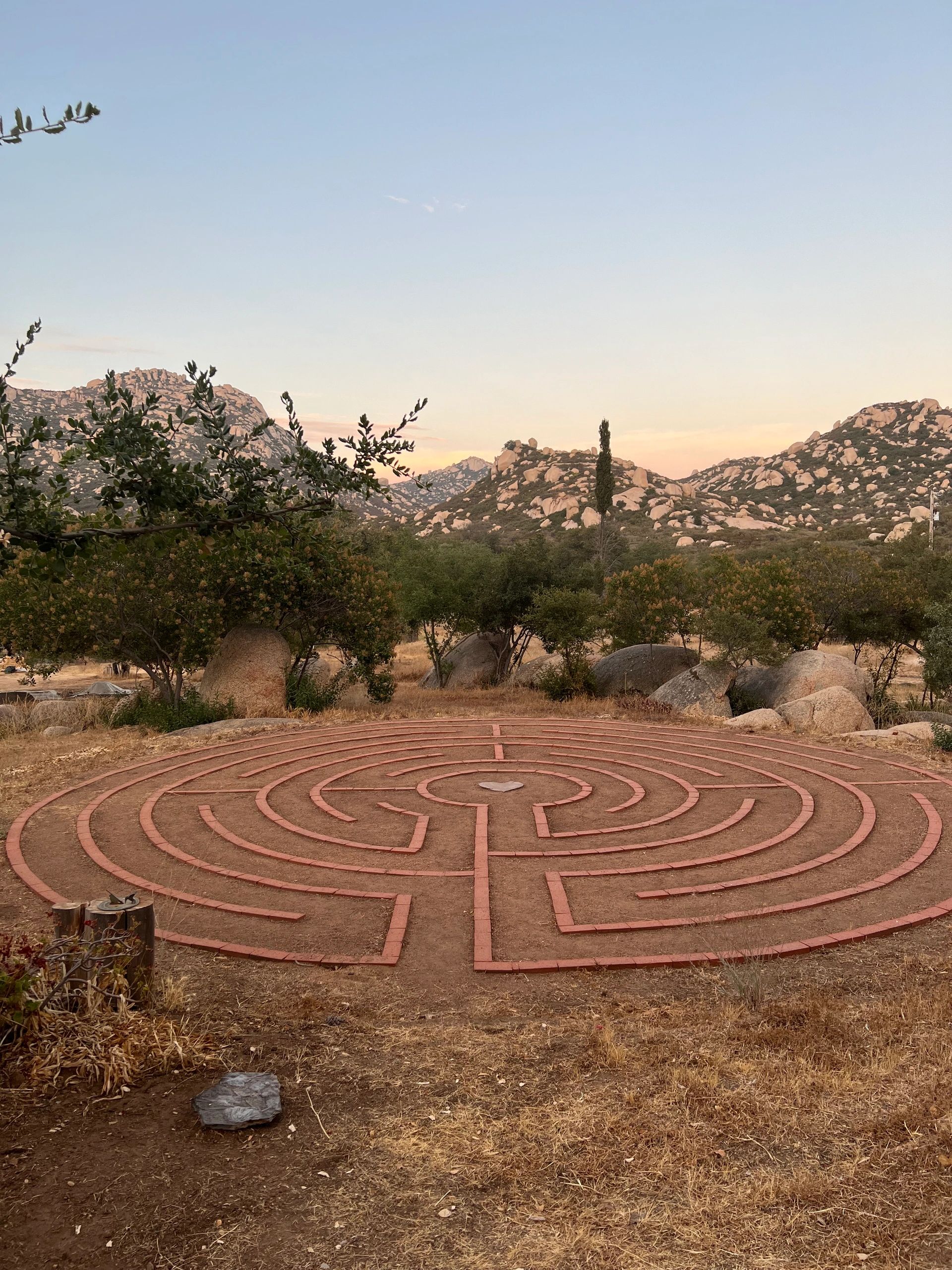 Become a Monk: Join the Paracelsian Order Today!