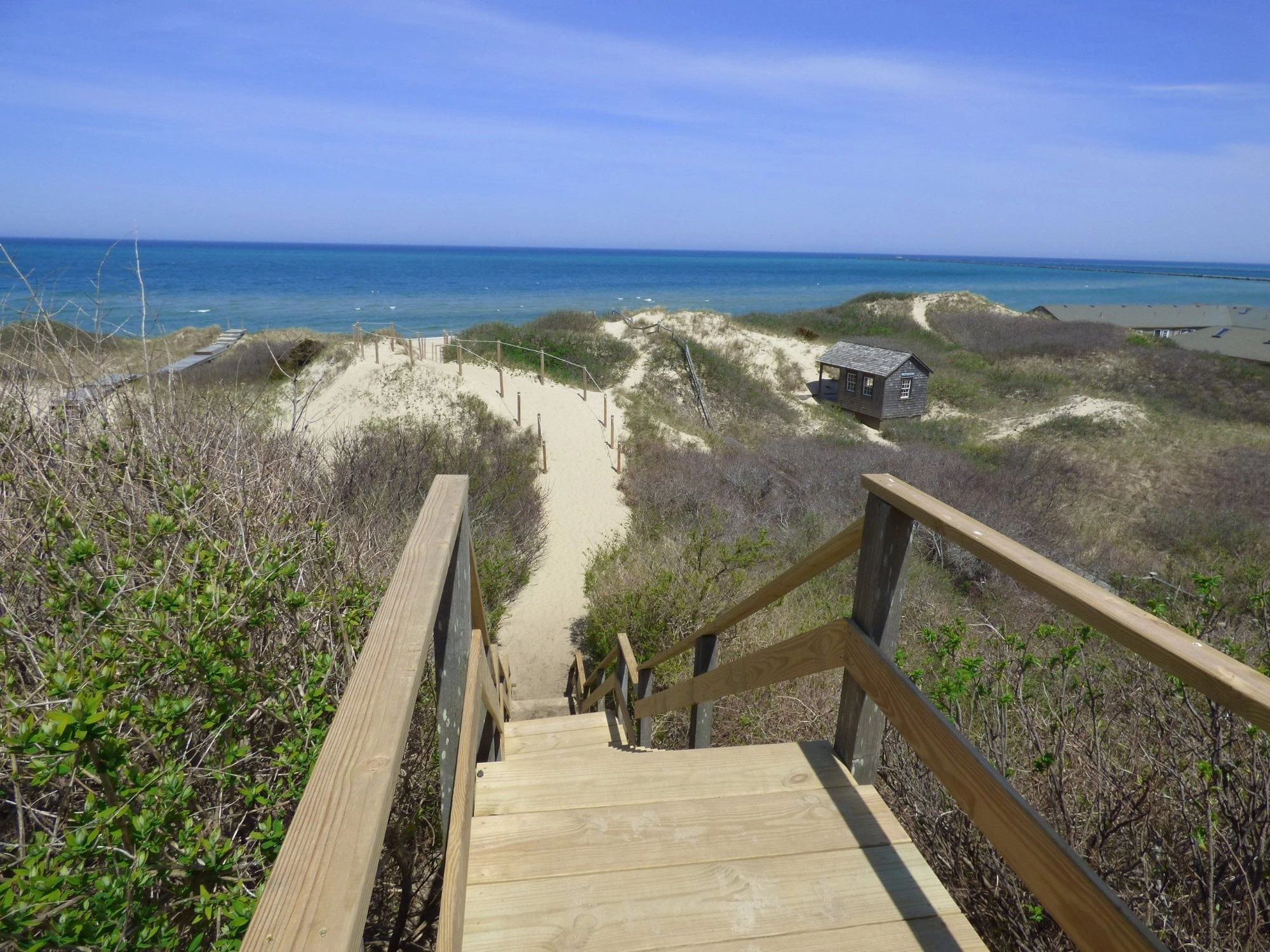 jonathan colvin private investigator