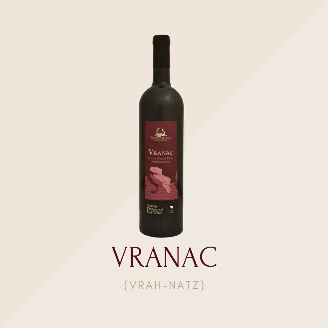 Wines of Illyria Vranac - "Stallion", Premium Quality (Vrhunsko) Red Wine