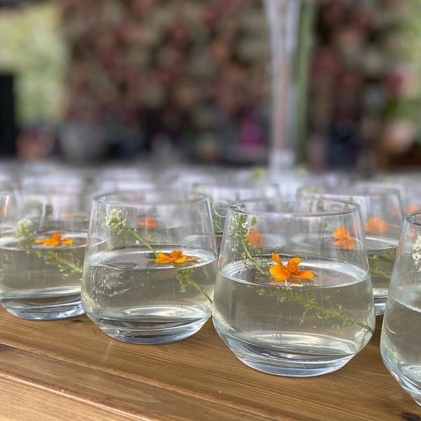 Gert Lush Event Bars - Mobile Bar, Event Bar, Devon