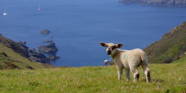 Living on Sark