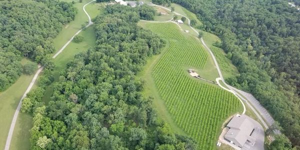 Seven Springs Winery - Wine & Food, Wedding Venue