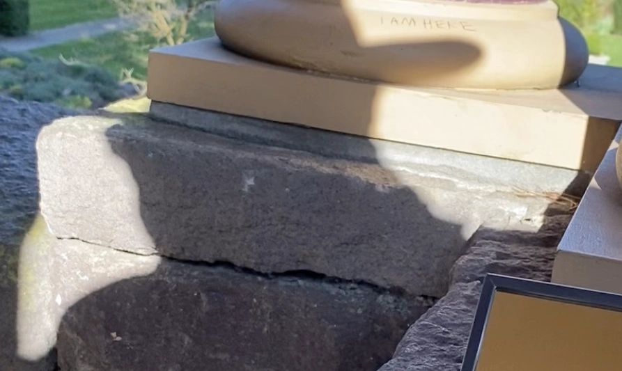 Professor Sarah Shadow (SSarah) Self Introduction - Text Version