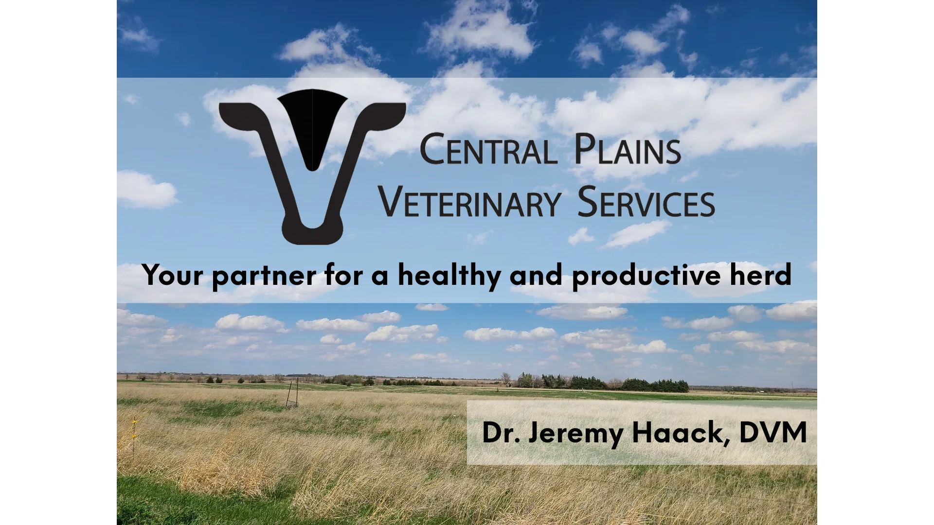 Veterinarian - Central Plains Veterniary Services