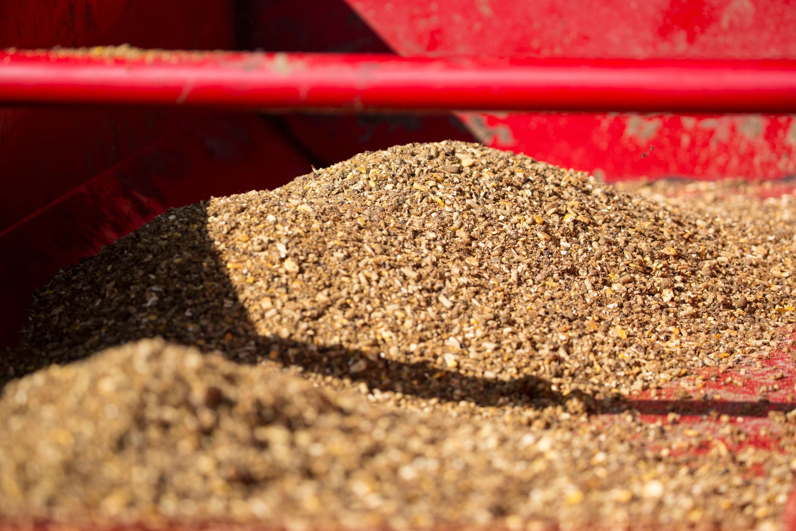 Cattle Supply for Your Farm at Lowry's Feed & Farm Supply