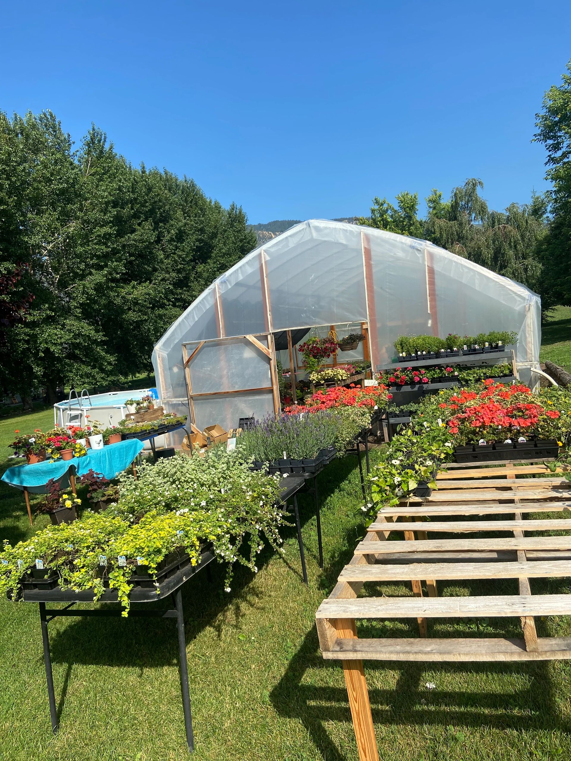 Angelic Gardens