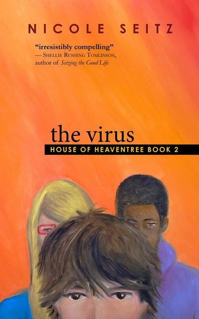 Nicole Seitz, Southern fiction writer