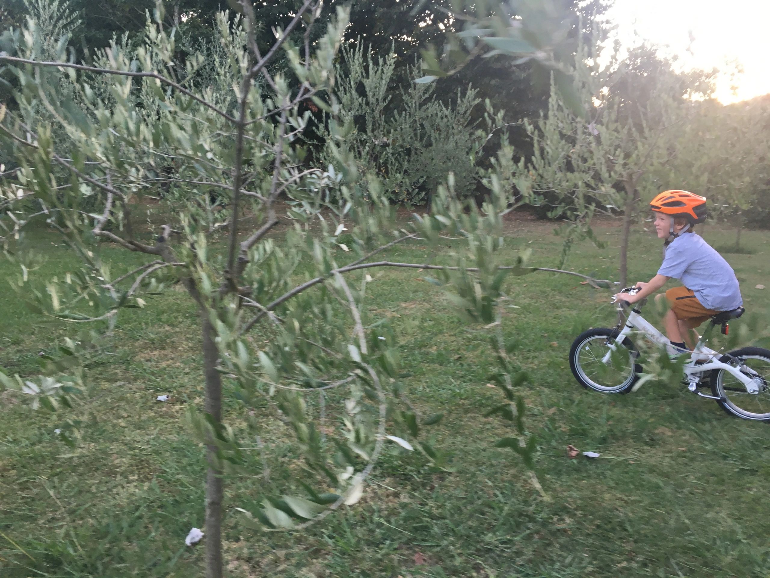 KOKUA Bikes USA LLC - Home