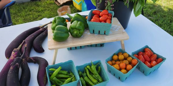 Local Seasonal Fruits and Vegetables | Ad Astra Farms