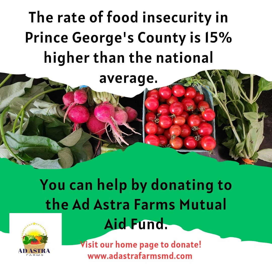 Support Our Mutual Aid Program!